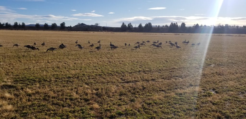 Waterfowl Camo & Duck Hunting Clothes | HECS Hunting